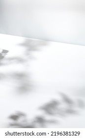 Light Background Harsh Shadows Tree Branch Stock Photo 2196381329 ...
