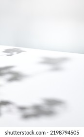 Light Background Harsh Shadows Tree Branch Stock Photo 2198794505 ...