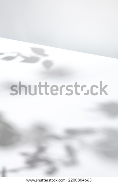 Light Background Harsh Shadows Tree Branch Stock Photo 2200804665 ...