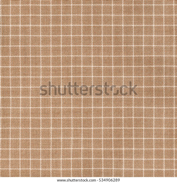 Light Brown Checkered Fabric Texture Useful Stock Photo 534906289 ...