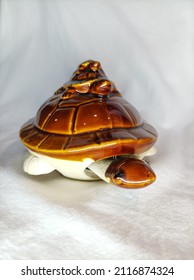 43,248 Brown turtle Images, Stock Photos & Vectors | Shutterstock