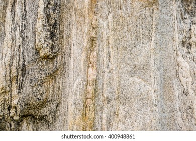 Light Brown Tree Texture Background Stock Photo 400948861 | Shutterstock
