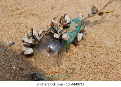 Light Bulb Covered Barnacles Garbage Washed Stock Photo 1358914274 ...