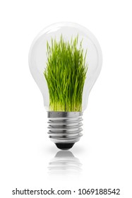 Light Bulb Grass Inside Stock Photo 1069188542 | Shutterstock
