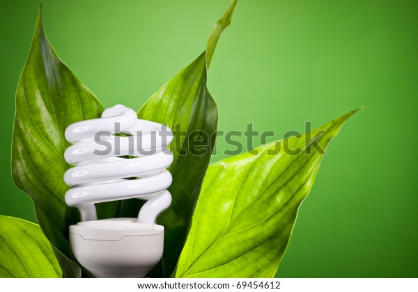 Light Bulb Leaf Stock Photo 69454612 | Shutterstock