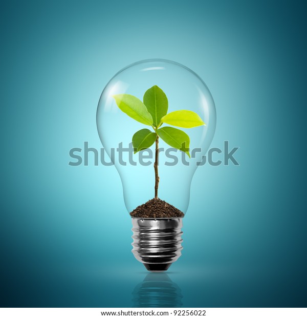 Light Bulb Sprout Inside Foto stock 92256022 | Shutterstock