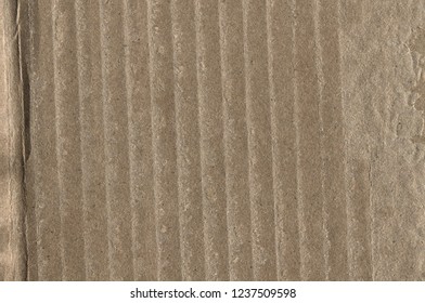 Light Cardboard Texture Stock Photo 1237509598 | Shutterstock