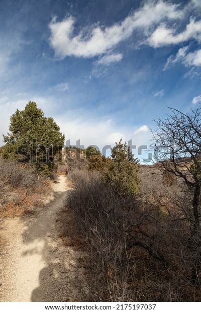 Light Colored Dirt Path Winding Through Stock Photo 2175197037 ...