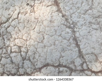 Light Gray Ground Texture Surface Background Stock Photo 1264338367 ...