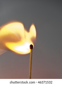 Light Something Match Stock Photo 46371532 | Shutterstock