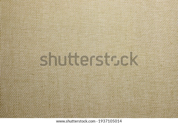 Light Texture Back Side Canvas Canvas Stock Photo 1937105014 | Shutterstock