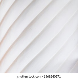 Light White Background Shadows Gradient Geometric Stock Photo ...