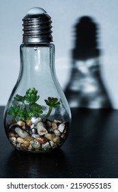 Lightbulb Light Shadow Background Stock Photo 2159055185 | Shutterstock