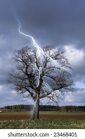 23,978 Lightning tree Images, Stock Photos & Vectors | Shutterstock