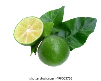 Lime Slice Leaf Isolate On White Stock Photo 499003756 | Shutterstock