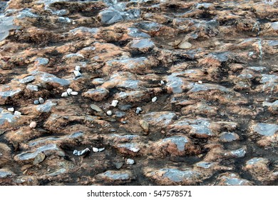 Dug Dry Muddy Soil Dry Lake Stock Photo 1190850586 | Shutterstock