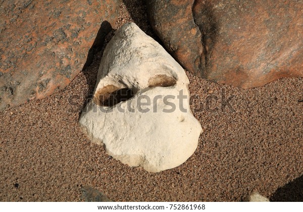Limestone Form Skull Alien Head Beach Stock Photo 752861968 | Shutterstock