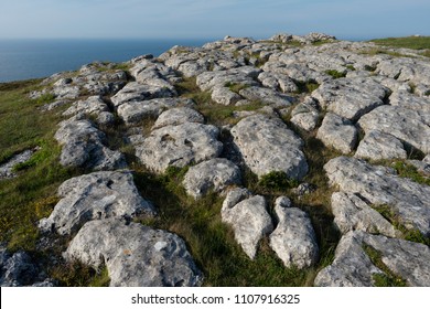 Limestone Pavement Great Orme Stock Photo 1107916325 | Shutterstock