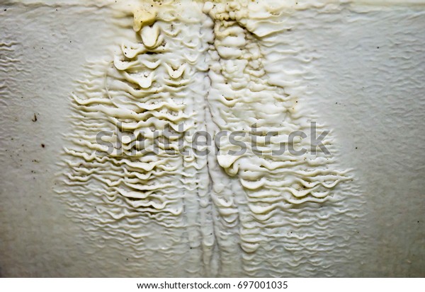 Limestone Stains Bathroom Stock Photo 697001035 | Shutterstock