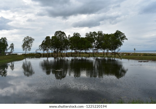 Line Tree Shadow Reflection On Lake Stock Photo 1225220194 | Shutterstock