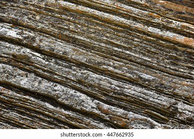 33 Lithostratigraphy Images, Stock Photos & Vectors | Shutterstock