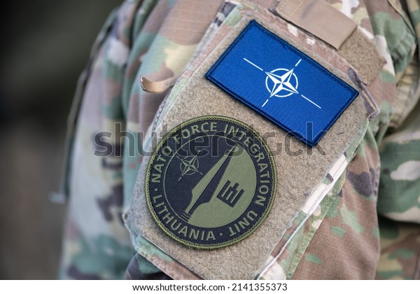 3,841 Lithuania Army Images, Stock Photos & Vectors | Shutterstock