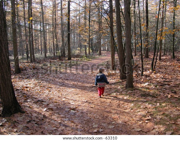 Little Boy Walking Alone Forest On Stock Photo (Edit Now) 63310 Little Boy Walking Alone Forest On Stock Photo (Edit Now) 63310