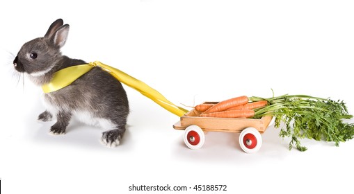 Little Gray Easter Rabbit Pulling Cart Stock Photo 45188572 | Shutterstock