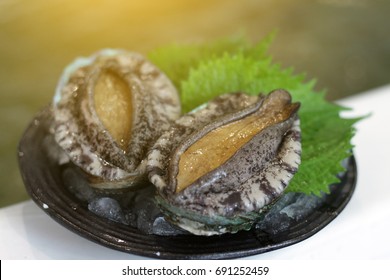3 Live abalone shell on hand Görseli, Stok Fotoğraflar ve Vektörler ...