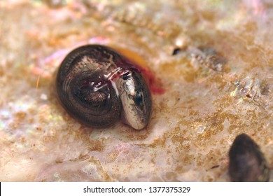 Stock Photo and Image Portfolio by vitrolphoto | Shutterstock