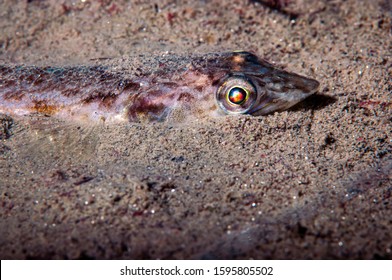 Stock Photo and Image Portfolio by Greg Amptman | Shutterstock
