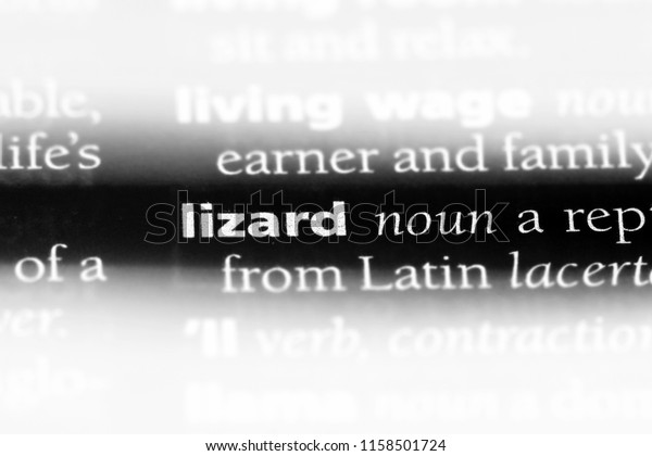 Lizard Word Dictionary Lizard Concept Stock Photo (Edit Now) 1158501724