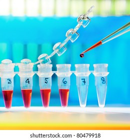 Loading Pcr Samples Numbered Plastic Tubes Stock Photo (Edit Now) 80479918