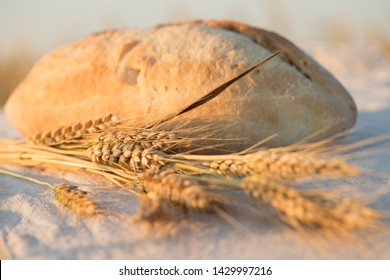 Loaf Bread Sun Stock Photo 1429997216 | Shutterstock