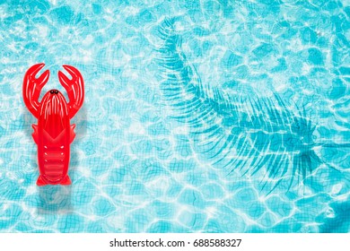 Lobster Pool Float Ring Floating Refreshing Stock Photo 688588327 ...