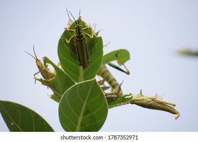 Tiddy Images, Stock Photos & Vectors | Shutterstock