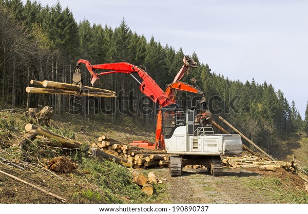 A log loader or forestry machine moves fresh cut logs for loading on a ...