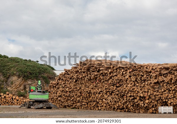 Log Loader Log Pile Log Stacker Stock Photo 2074929301 | Shutterstock