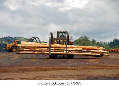 Log Loader Working Lumber Mill Logging Stock Photo 53775328 | Shutterstock