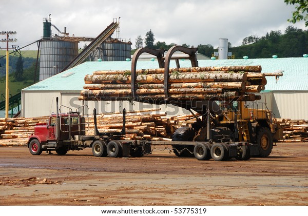 Log Loader Working Lumber Mill Logging Stock Photo (Edit Now) 53775319