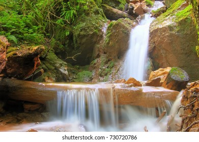 Log Stream Stock Photo 730720786 | Shutterstock