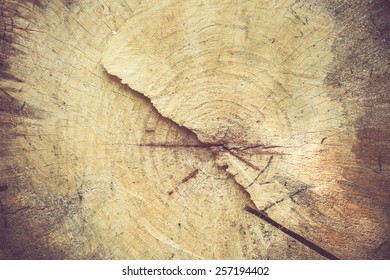 Log Surface Texture Background Stock Photo 257194402 | Shutterstock
