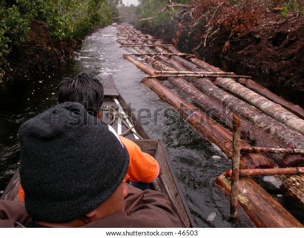 Logging Activity Canal River Stock Photo (Edit Now) 46503