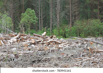 New zealand logging Images, Stock Photos & Vectors | Shutterstock