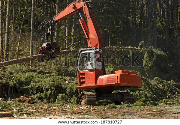 Logging Harvesting Processing Head Being Used Stock Photo (Edit Now ...