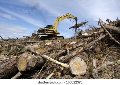 4,402 Carrying log Images, Stock Photos & Vectors | Shutterstock