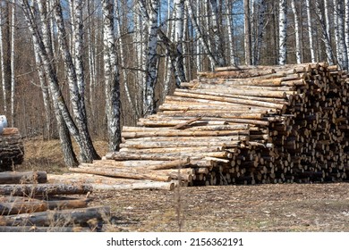 146 Timber sawlogs Stock Photos, Images & Photography | Shutterstock