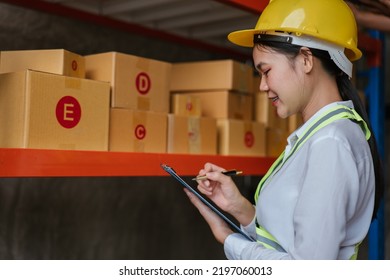 Logistic Workers Checking Preparing Product Parcel Stock Photo ...