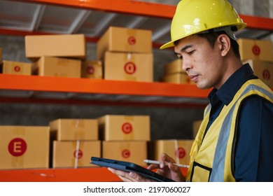 Logistic Workers Checking Preparing Product Parcel Stock Photo ...