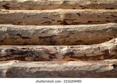 8,119 Peeling logs Images, Stock Photos & Vectors | Shutterstock